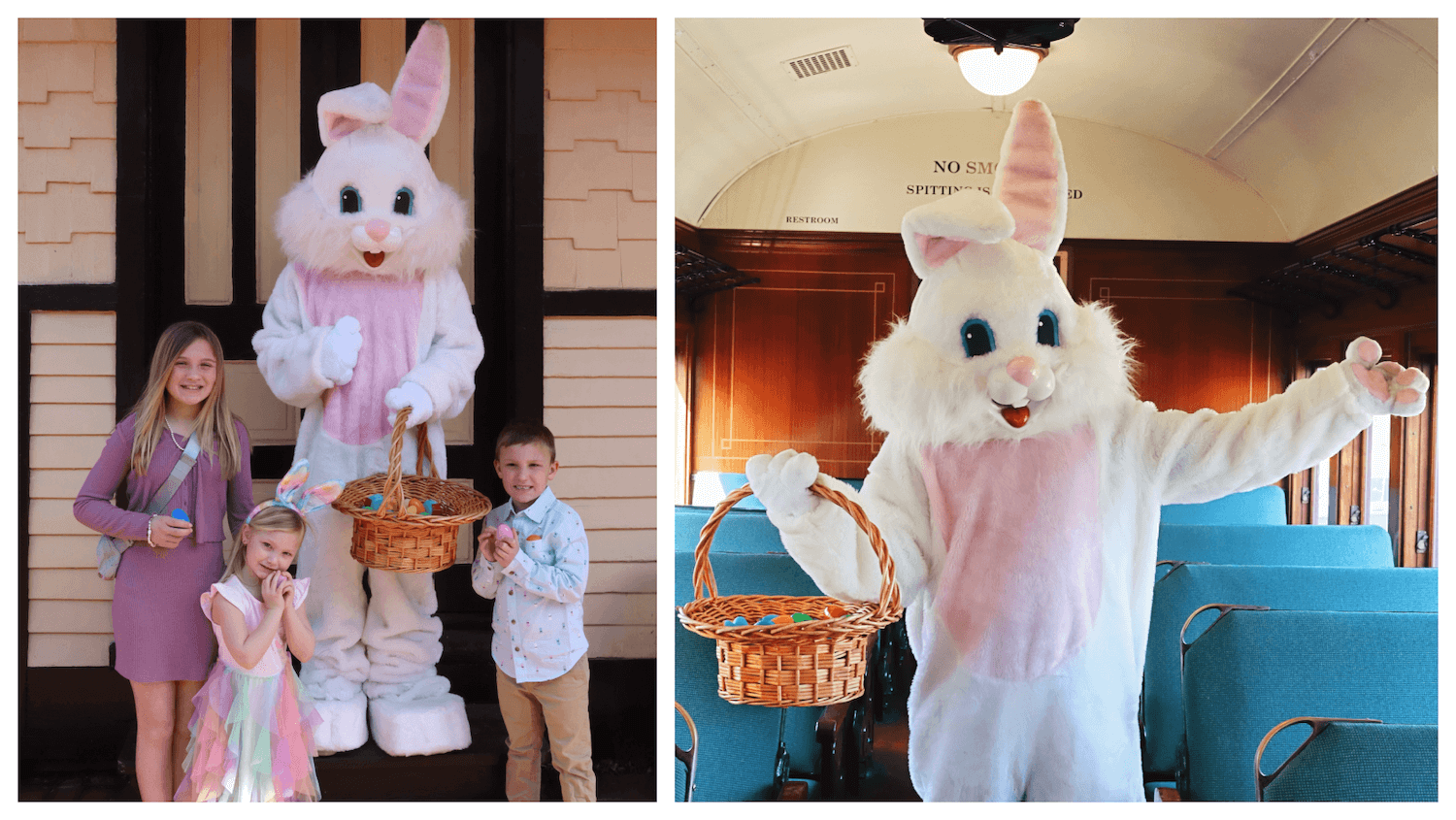 Easter Bunny Express - New Hope Railroad - 45 Minute Train Ride - Photos